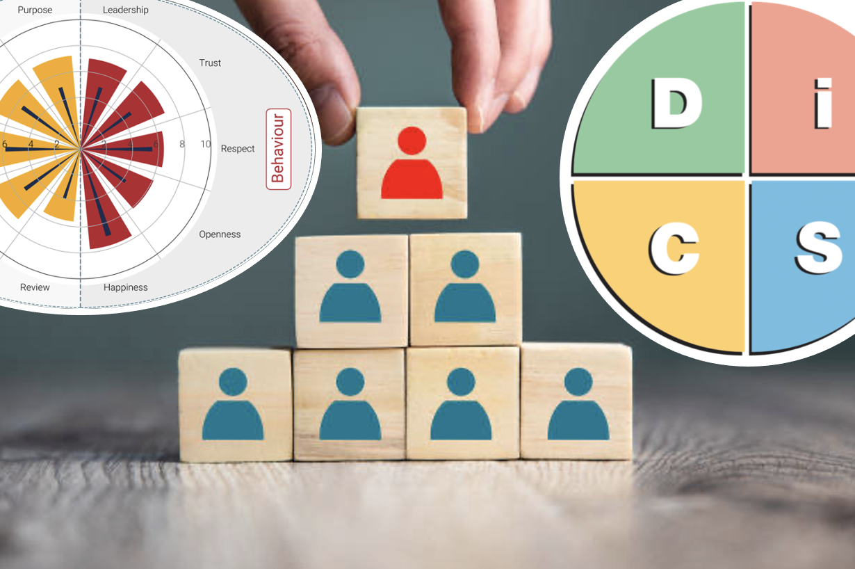 Nurturing a Thriving Company Culture: Leverage DiSC and Team ...